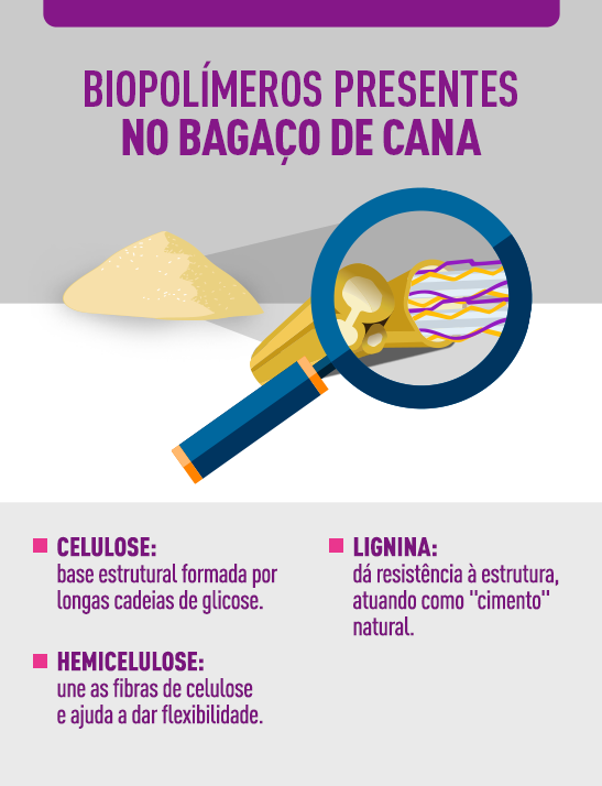 Lignina: o que é e como produzir produtos de alto valor agregado a ...
